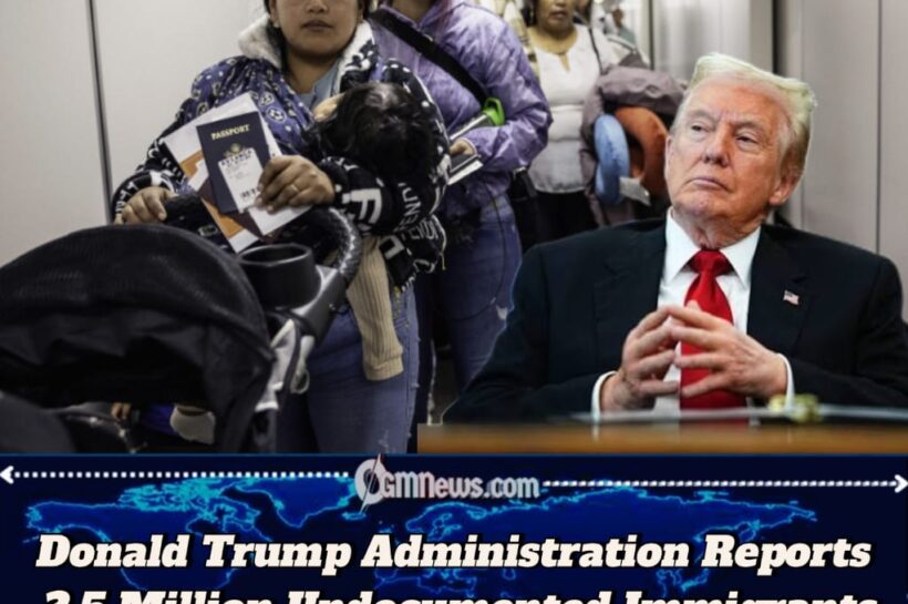 Donald Trump Administration Marks Sharp Rise in Deportations and Self ...